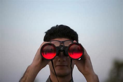 a comprehensive beginner s guide to chromadb by syeedmdtalha medium