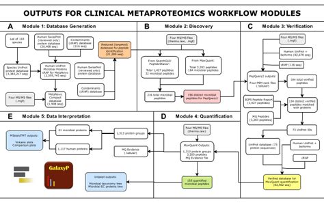 Galaxy Bioinformatics Platformに実装された臨床メタプロテオミクスワークフローにより、ヒト疾患の根底にある宿主とマイクロバイオームの相互作用を解析