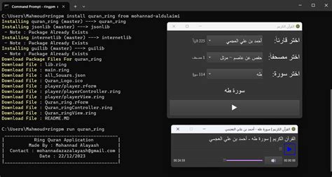 the ring programming language