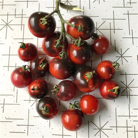 Tomato Red Ruby Cherry No Coast Seeds