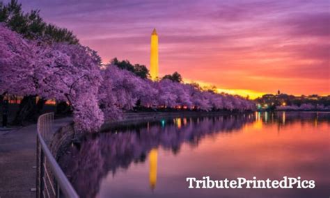 Personalized Memories Brought To Life Tributeprintedpics