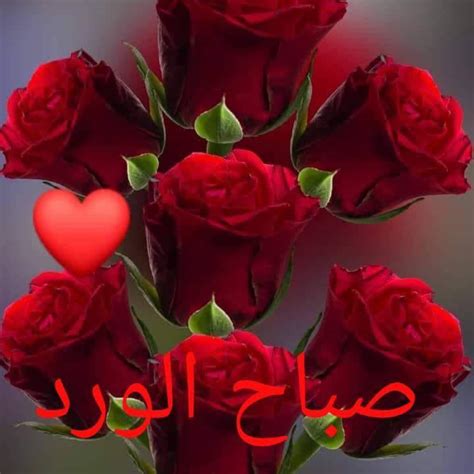 الاخوين Karbala