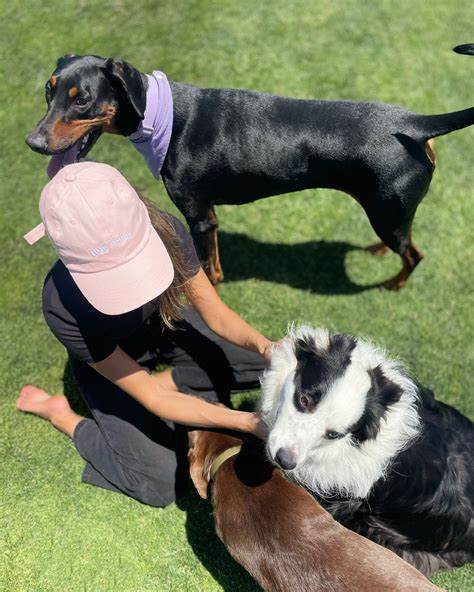 Raphie Co 🐾 For Dog Lovers • Instagram Photos And Videos