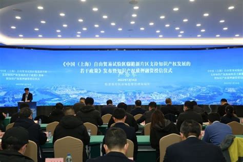 未来天玑 6条全市首创！临港新片区发布首个综合性知识产权专项扶持政策