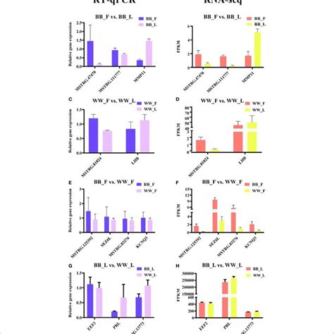 Validation Of The Rna Sequencing Rna Seq Data By Real Time