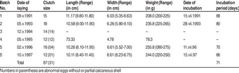 Egg Measurements Of Python Molurus Molurus Download Table
