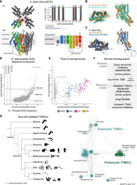 A Structure And Sequence Based Screen For The Identification And Download Scientific Diagram