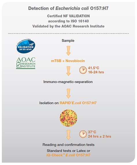Rapidli O157 H7 Medium Food Science Bio Rad