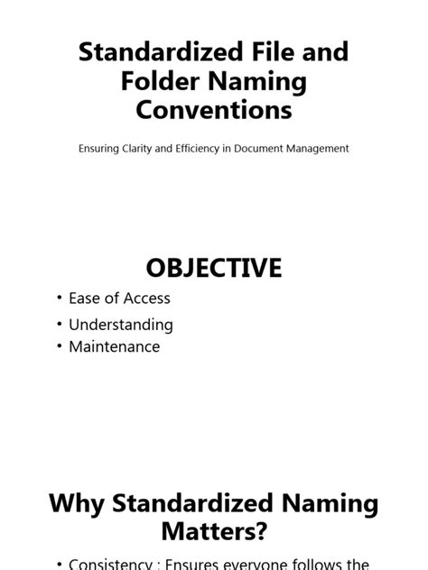 file naming standards pdf