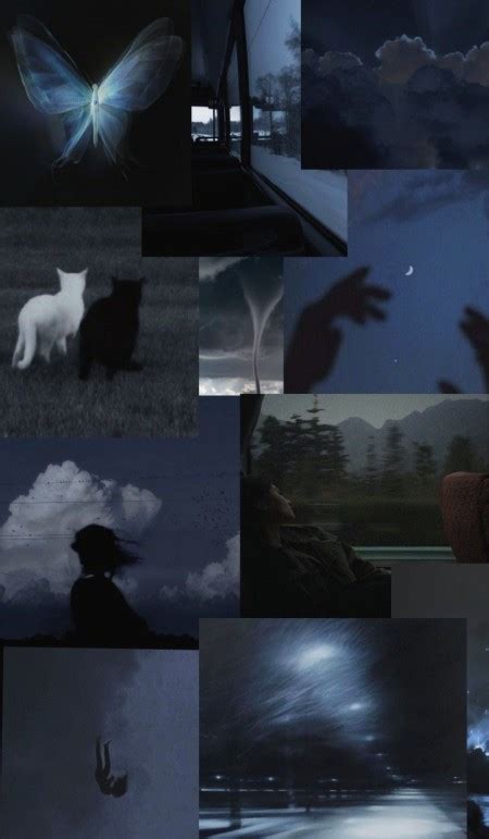 عکس های پس زمینه گربه بهترین تصاویر گربه [پیشنهادی] تاوعکس