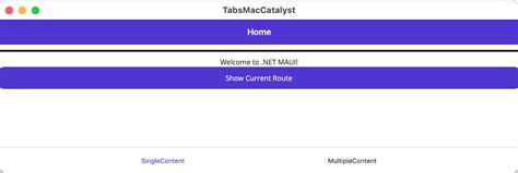 Display Issues On Maccatalyst When Multiple Shell Content Is Present