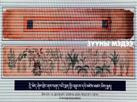 Фото Уламжлалт анагаах ухааны 108 боть төслөөр хэвлэсэн 50 боть номын нээлт боллоо