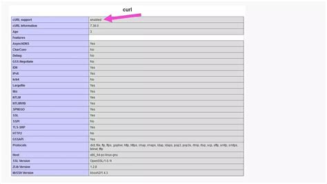 Curl For Windows As A Universal Tool For Web Development Ionos
