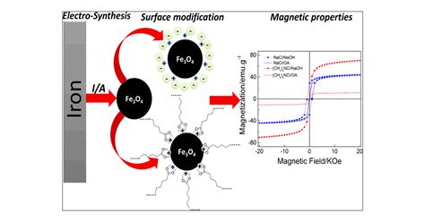 Influence Of Surface Treatment On Magnetic Properties Of Fe3o4 Nanoparticles Synthesized By