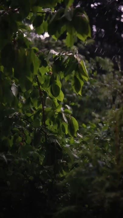 غمگینترین شعر دنیا غمگین عاشقانه شعر شعر کوتاه شعر غمگین شعر غزل می غم دلتنگی دلی