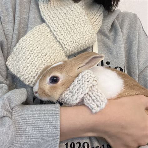 박은쪽 On Twitter 커플 목도리 Qmutpw6fqf Twitter