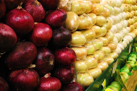 Tear Jerker Photograph By Gil Kanat Fine Art America