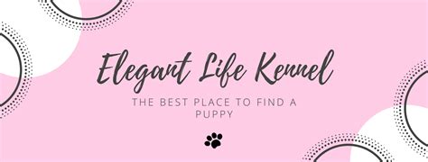 Shedarian Dachshunds Kennel Fci Все чаще на просторах интернета встречаю информацио о