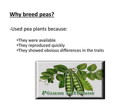 Patterns Of Inheritance Mendelian Inheritance Pptx Gardening Home And Garden
