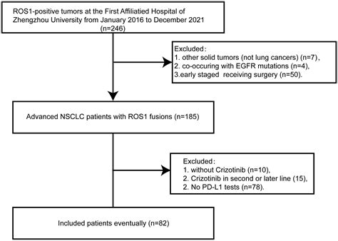 Frontiers Association Of Pd L1 Expression And Clinical Outcomes In