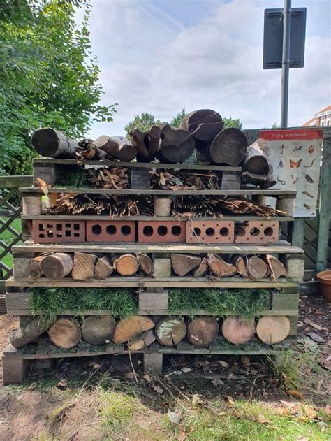 Create Your Own Bug Hotel