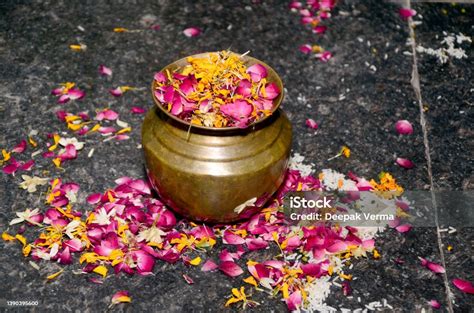 검은 돌 배경에 꽃잎으로 둘러싸인 청동 항아리에 채워진 여러 가지 색의 꽃잎 0명에 대한 스톡 사진 및 기타 이미지 0명 가득 찬 꽃 식물 Istock