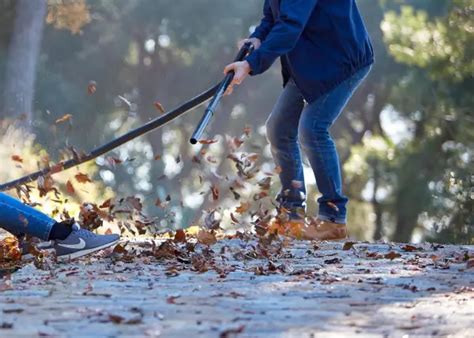 Nilfisk Buddy Ii 18 Review Versatile Cleaning For Every Mess