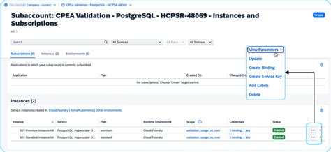 Postgresql On Sap Btp Understanding Service Enti Sap Community