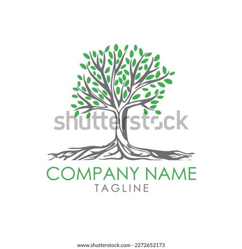 Tree Roots Logo Designs Trees Stock Vector Royalty Free Shutterstock