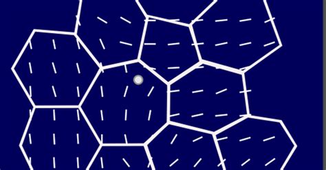 Forces And Symmetries In Cells And Tissues Leiden University