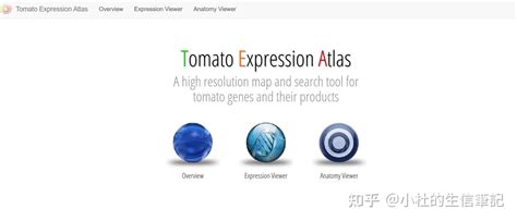 基因表达谱的构建 知乎