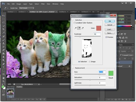 Adobe Photoshop CC Replace Color ZULBMOHD