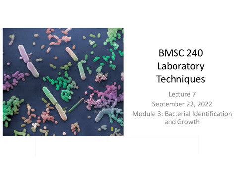 240 L7 Lecture Notes BMSC 240 Laboratory Techniques Lecture 7