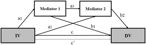 Multiple Mediation Model The Relationships Between Gender Iv