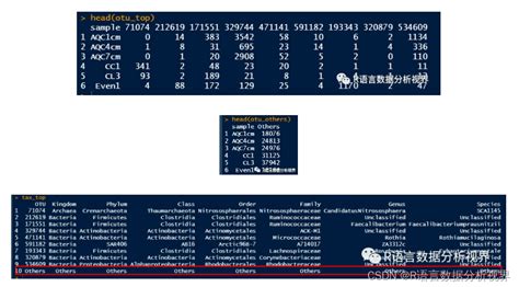 R语言实战：使用ggplot2绘制微生物组物种丰度堆叠柱状图csv文件如何用r绘制物种堆叠图 Csdn博客