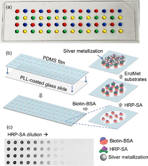 A Custom Microwell Array Created Using Laser Cut Pdms Film On