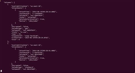 Filter Aws Cli Output With The Query Option To The New Blog