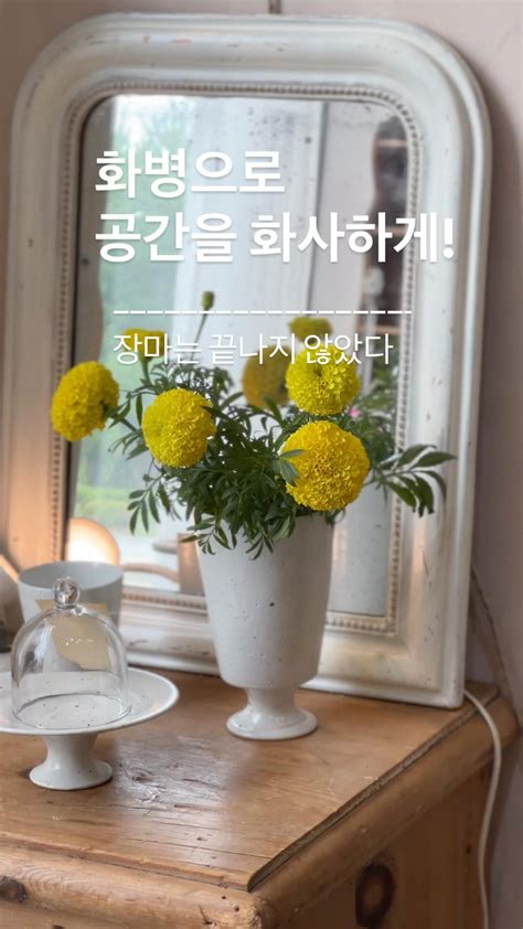 가마가텅빈날ㅣ도자기그릇빈티지리빙 가마가텅빈날 그릇장 채워뒀어요 고블렛 화병 비행면기 양손스프볼 사각파스타 달 앞접시 통머그 화이트 미니 달항아리 🌵