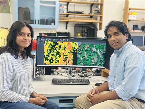 Uconn Researchers Work To Enhance Forest Carbon Monitoring Uconn Today