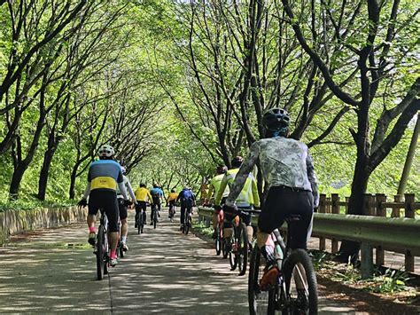 자우림 자전거로 우린 숲을 달린다 서산MTB BAND