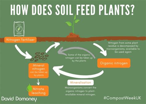 Demystifying Home Composting David Domoney