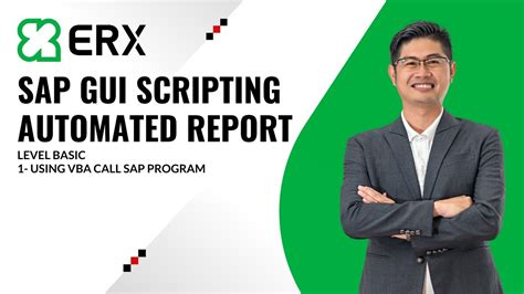 sap gui scripting automated report with vba level basic part 1