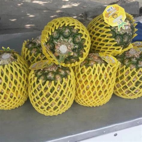 Pineapple Packing Foam For Guava Fruit Packaging Protection Expandable Net Tubing Epe Foam