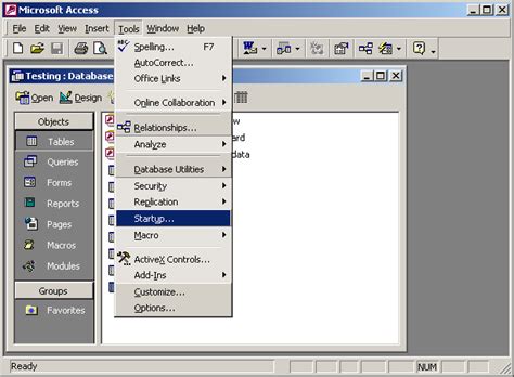 ms access 2003 hide the database window