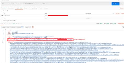 Read Image From Private Github Repository Programmatically Using C
