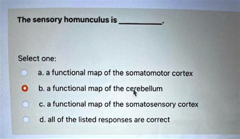 The Sensory Homunculus Is Select One A A Functional Map Of The