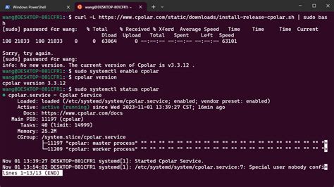 如何本地搭建DolphinScheduler并无公网ip远程访问管理界面 腾讯云开发者社区 腾讯云