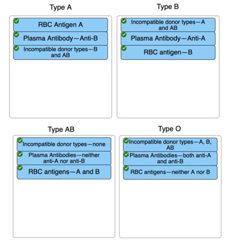 W6 Lab Flashcards Quizlet