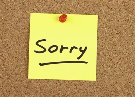 Apologizing When You Did Nothing Wrong Quotes Quran Mualim 2025