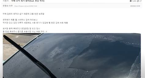 자동차 유막제거 발을씻자 제품으로도 가능할까 픽플러스